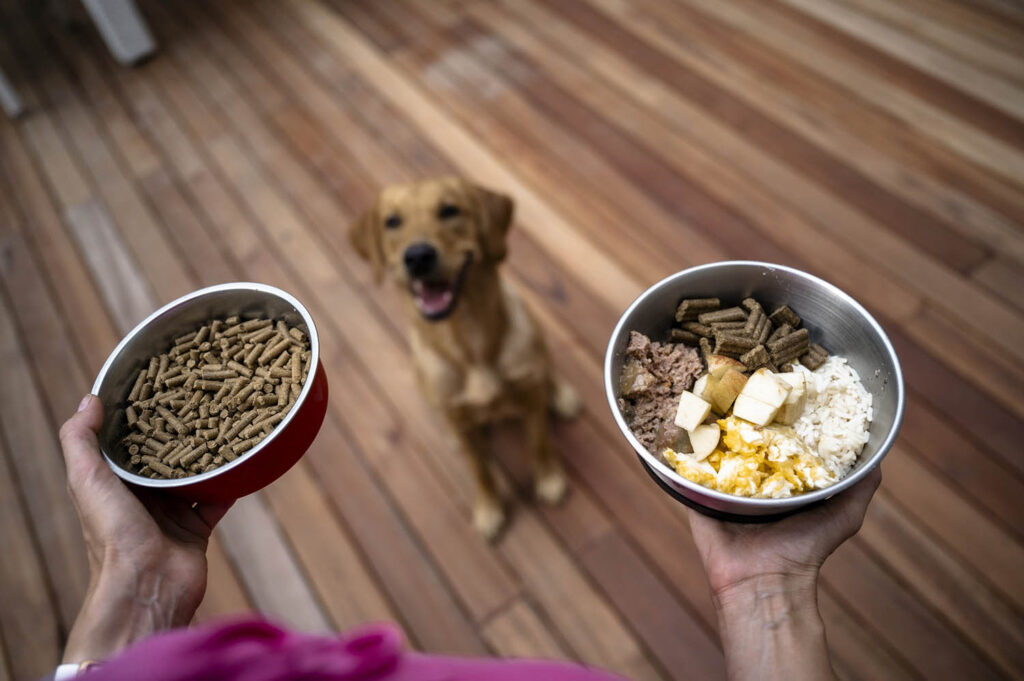 How Pet Food Is Regulated - Pet Food Institute